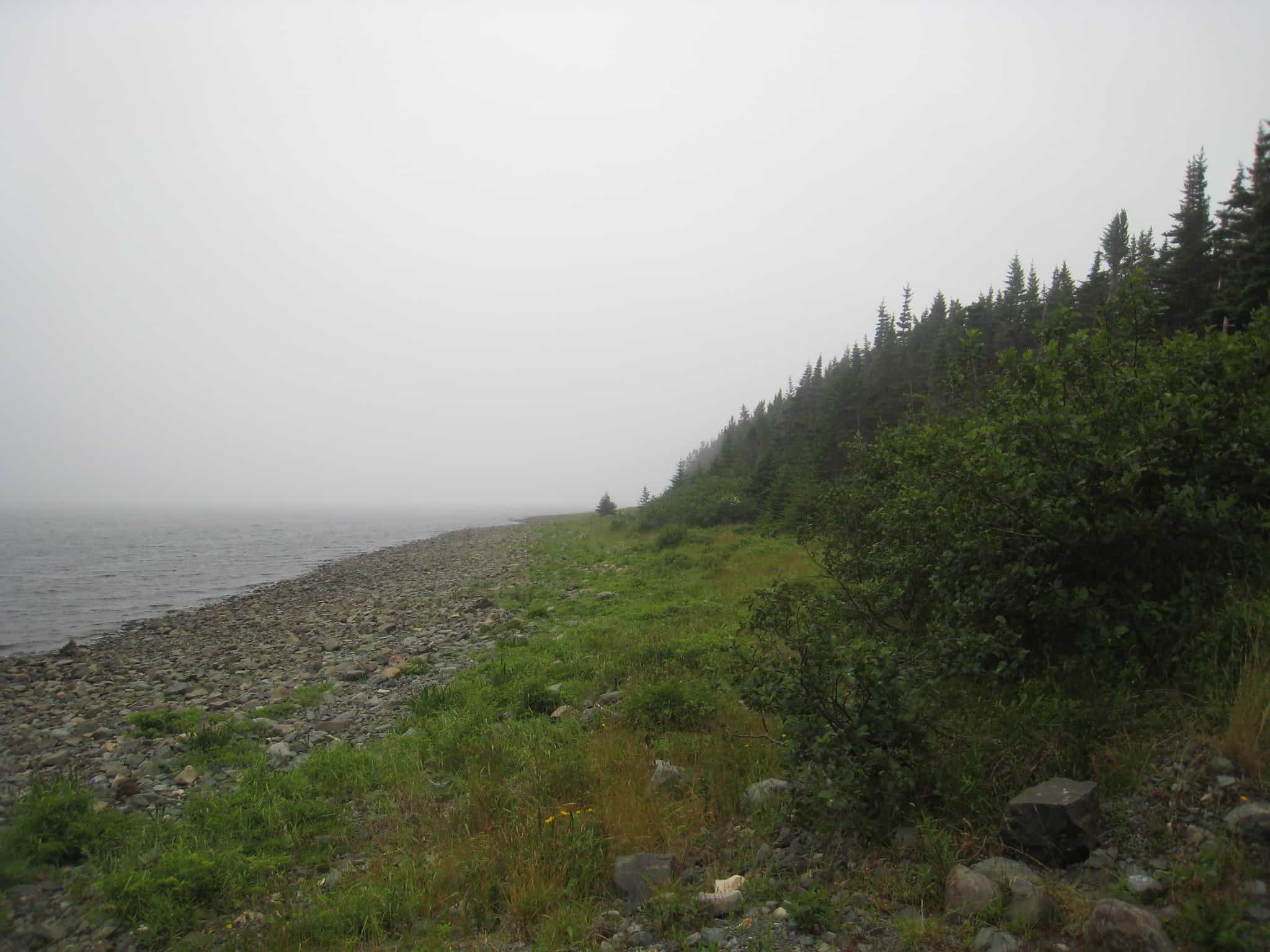 In Full Retreat: How the provincial government is crushing conservation ...