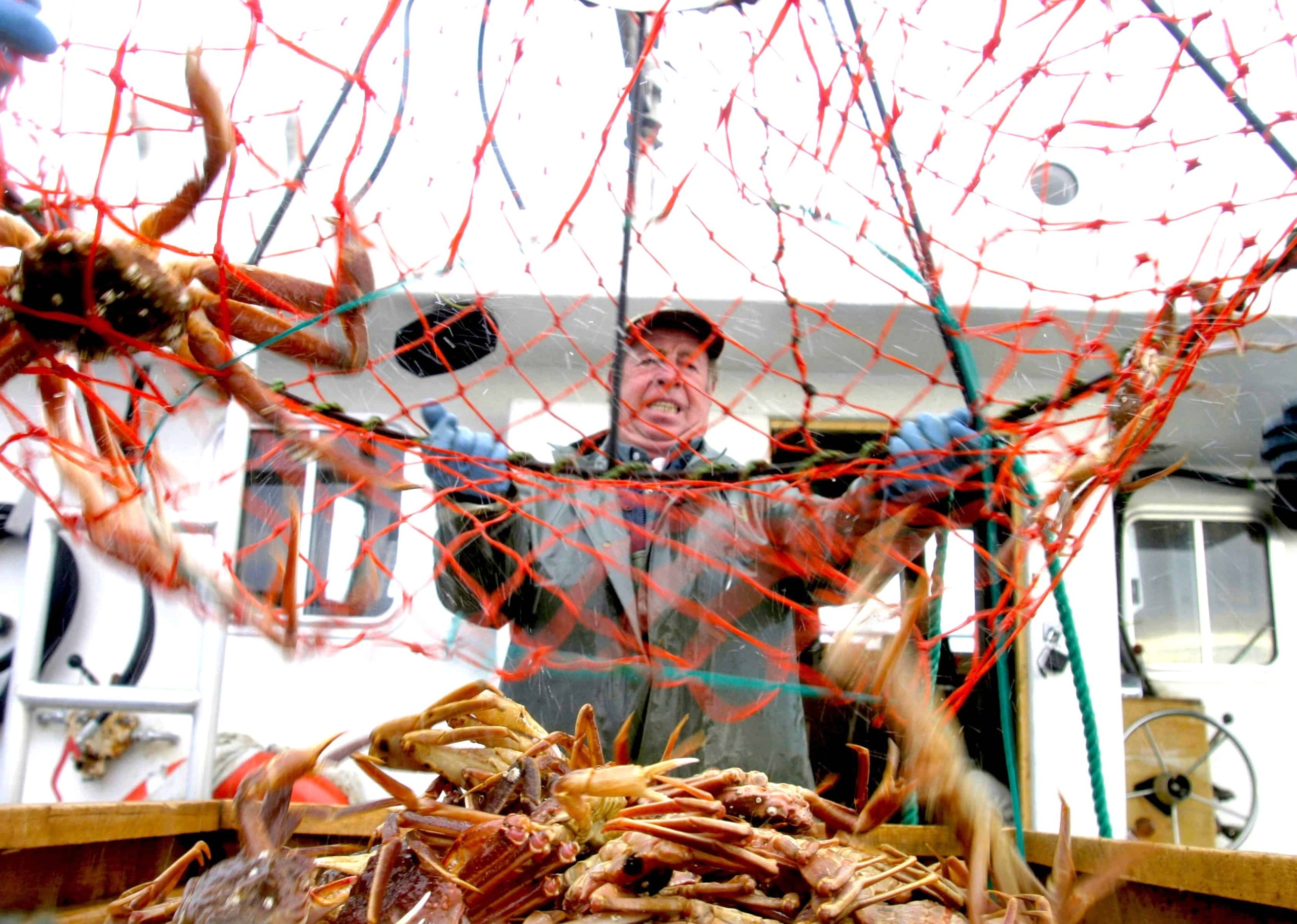 Will the PERT Report Highlight Our Fishery? – The Independent