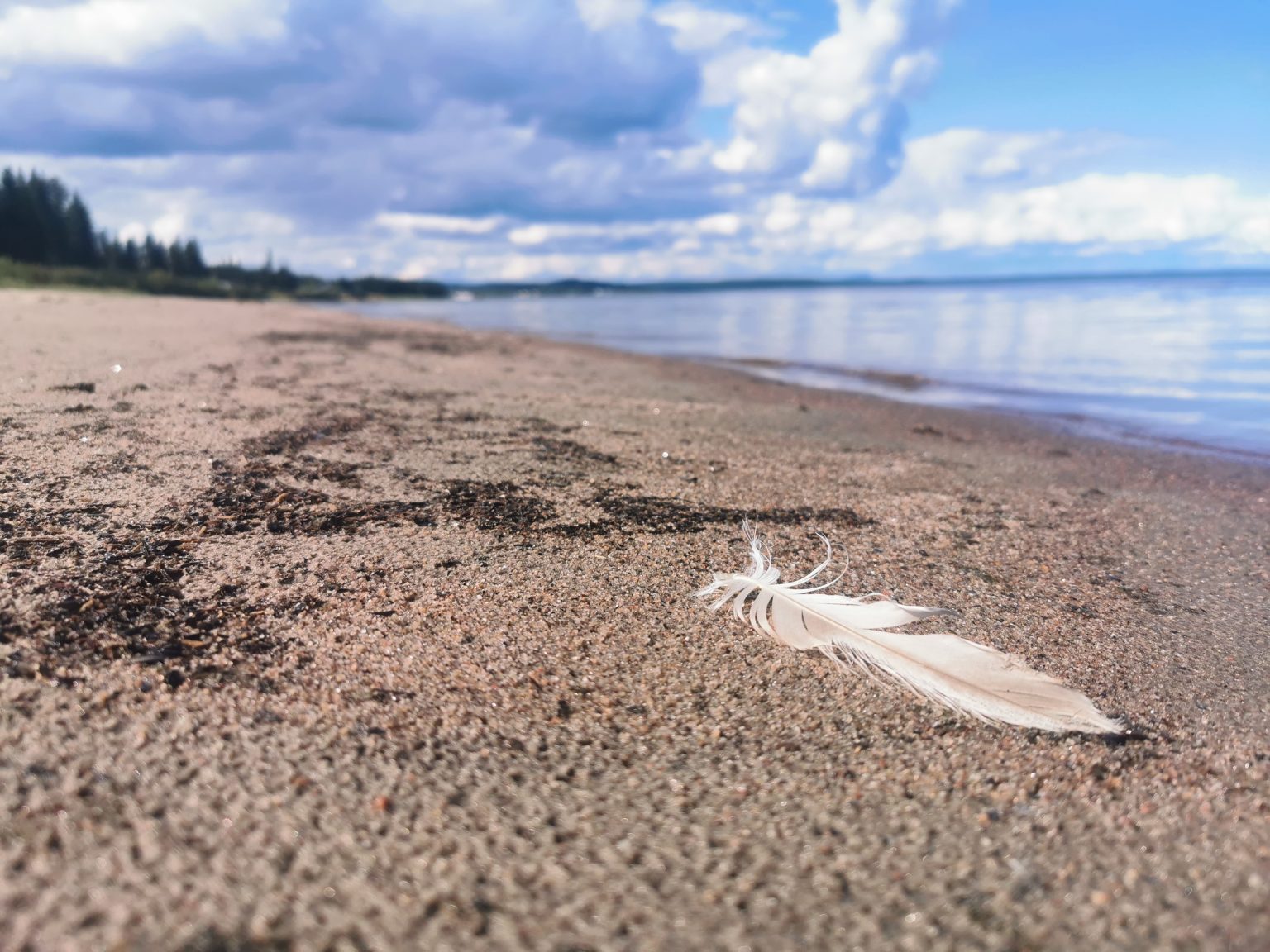 Innu youth join calls for action on Sheshatshiu drug crisis – The Independent